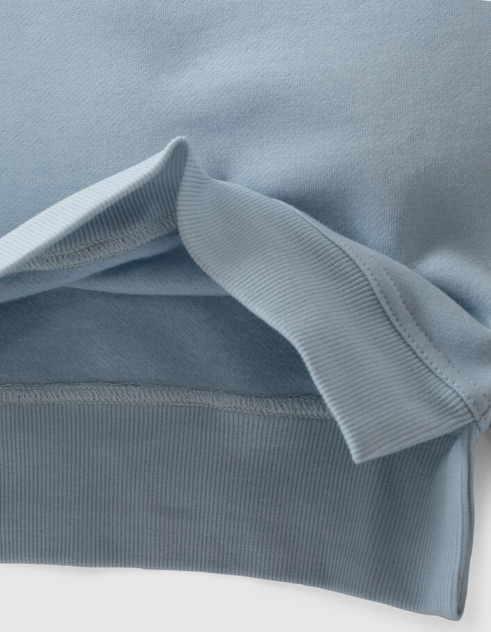 Girls’ light blue hoodie with embroidery on front