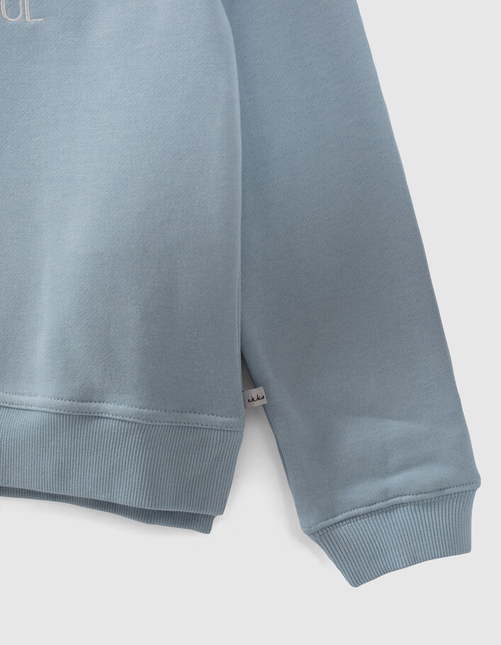 Girls’ light blue hoodie with embroidery on front